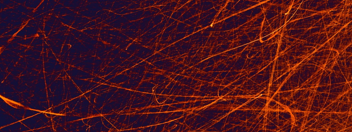 The Ember Club – The Emberlight Festival